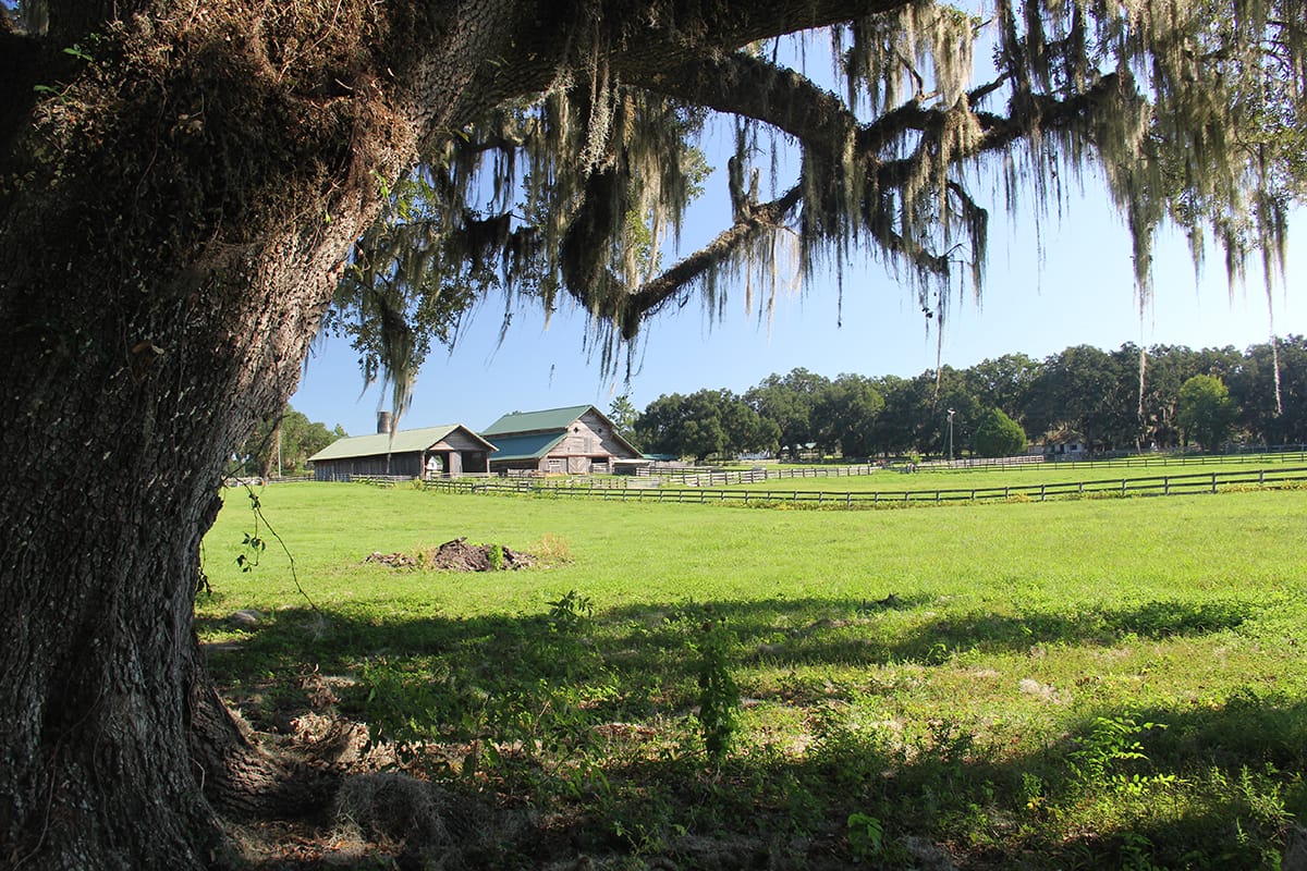 Linking Land Conservation and Historic Preservation in the Red Hills ...