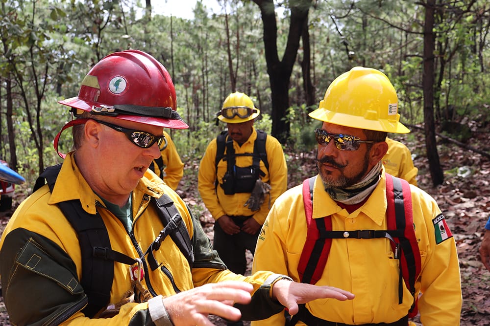 Tall Timbers Back to Mexico - Tall Timbers